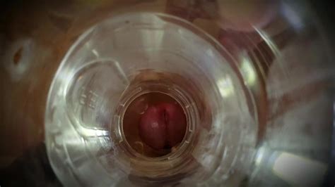 Inside View Of A Fleshlight