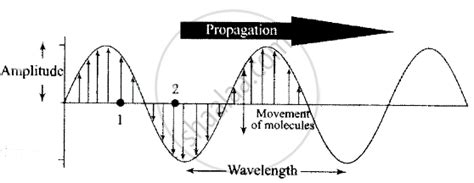 With Propagation Of Longitudinal Waves Through A Medium The Quantity
