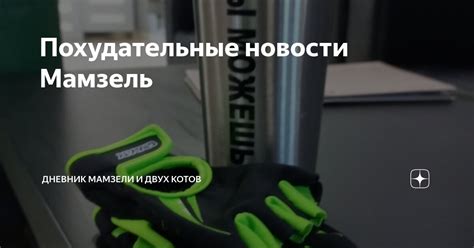 Похудательные новости Мамзель Дневник Мамзели и двух котов Дзен