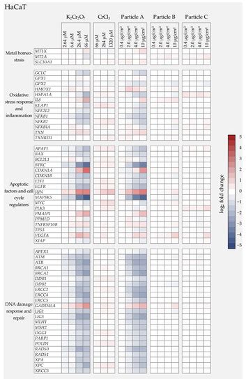 Nanomaterials Special Issue Risk Assessment Of Nanomaterials Toxicity