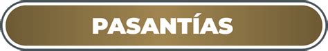 Informe de Política Monetaria Enero 2025 Banco Central de Bolivia