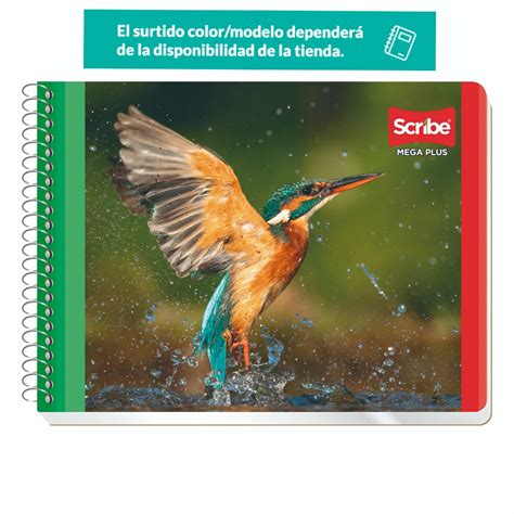 Cuaderno Italiano Scribe Mega Plus Cuadro Grande 100 Hojas Delsol