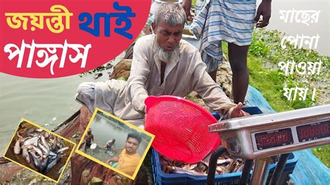 অরিজিনাল জয়ন্তী থাই পাঙ্গাস মাছের রেনু ও ধানি পোনার দাম। মাছের পোনা