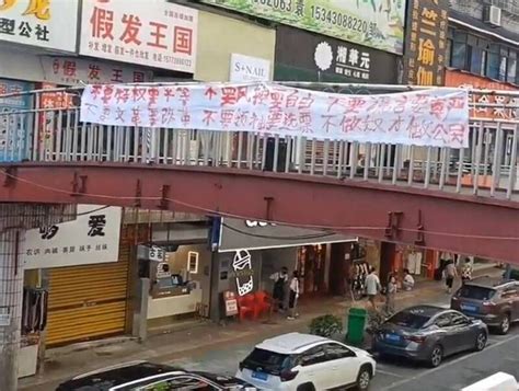 中후난성서 시진핑 파면 요구 시위x에 등장 파이낸셜뉴스