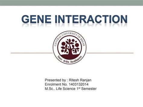 Patterns Of Inheritance Ppt