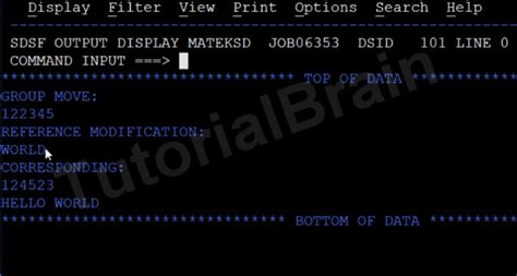 Cobol Move Different Types Of Move Statement — Tutorialbrain