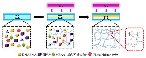 Self Powered Gradient Hydrogel Sensor With The Temperature Triggered Reversible Adhension