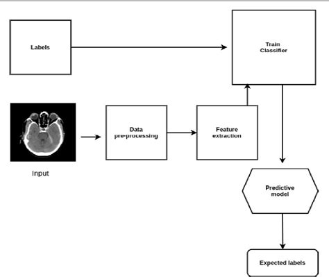 classifications of skull fractures using ct scan images via cnn with
