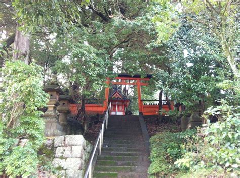 弥勒の道プロジェクト 東鳴川の応現寺の木造不空羂索観音坐像