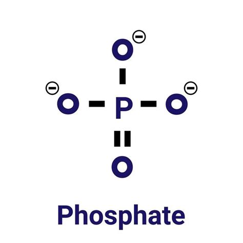 Chemical Structure Of Phosphate Group