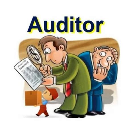 Statutory And Internal Audit Services In New Delhi Id 19292479633