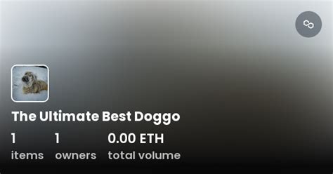 The Ultimate Best Doggo Collection Opensea