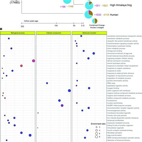 A Heatmap Of Correlations Between Modules And Traits The Colored