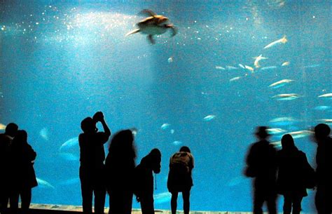 Explorations In Deep Teaching