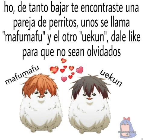 ɢɪᴠᴇɴ ϟ ᴍᴇᴍᴇs 𝑣𝑒𝑖𝑛𝑡𝑖𝑐𝑖𝑛𝑐𝑜 Meme Del Dia Frases De Kakashi Chistes