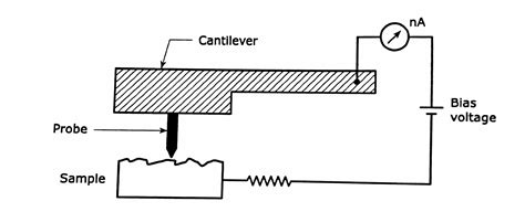 Draw The Schematic Diagram Of Tem And Explain Its Construction And Working