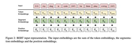 Neural Networks Why Are Embeddings Added Not Concatenated