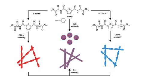 Hierarchical Chiral Supramolecular Nanoarchitectonics With Molecular Detection Helical