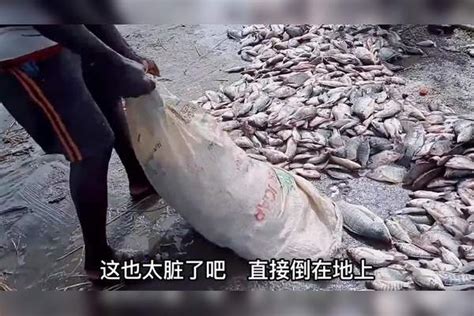 非洲部落酋长老婆做生意有一套，开20万卢旺达法郎工资，有点心动