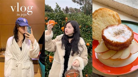 Vlog 회사 때려치고 귤 따러 제주로 이민🍊동쪽 여행•제주도 맛집•제주도 카페 추천•호캉스•동백꽃•겨울제주•감귤 따기 체험