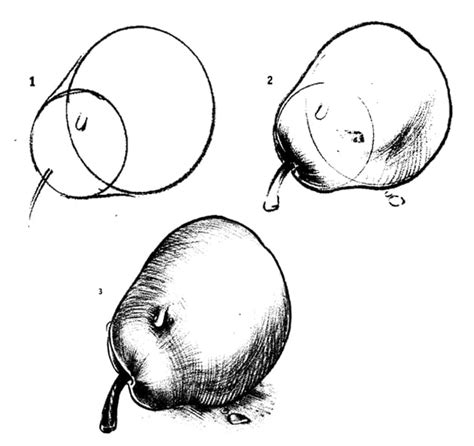Малюнки олівцем фрукти 32 фото ТЕГ
