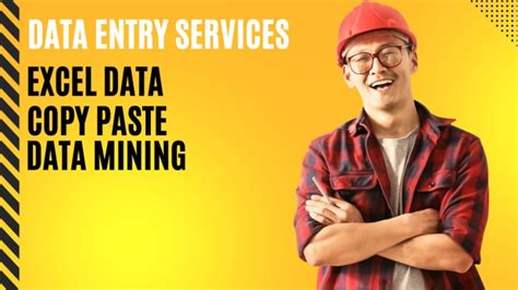 Do Data Entry Excel Typing Data Mining Copy Paste By Jamalyounas