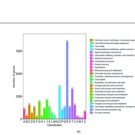 Assembly And Annotation Of The Transcriptome From The Pulp Of Feizixiao Download Scientific