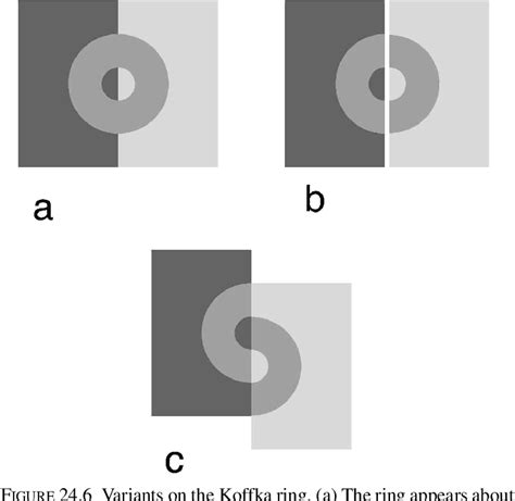Brightness Constancy