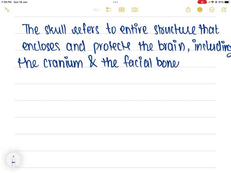 Solved What Is The Similarities And Differences Between Of The Gorgons