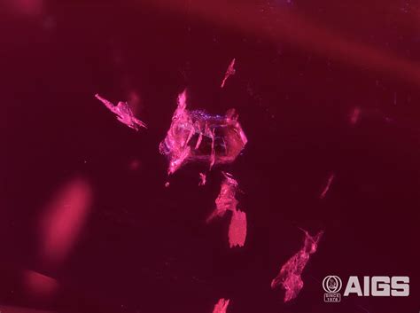 Inclusions In Ruby In Ruby Inclusions In Sapphire Inclusions In