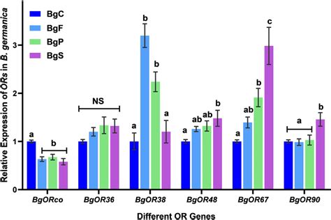 Relative Mrna Abundance Of The 6 Olfactory Receptor Genes After Treated