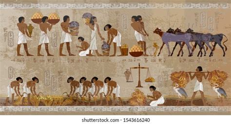 Ancient Egyptian Farming Along The Nile A Detailed View Of The Daily