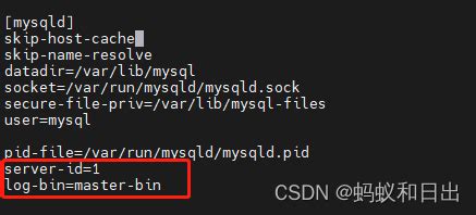 Mysql Mycat Mycat Csdn