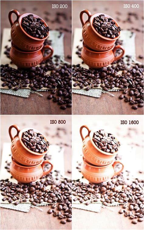 Understanding ISO Aperture And Shutter Speed Playful Cooking Photography Basics Aperture