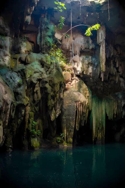 From Mérida Mayan Santuary Cenote And Kukulkan Nights Show