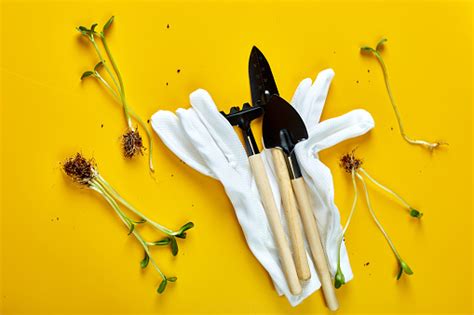 평평한 원예 도구 장갑 및 노란색 배경에 녹색 봄 정원 작업 개념 텍스트 복사 공간 상위 뷰 가정 경제학 수업에 대한 스톡 사진
