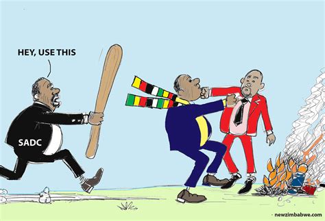 Zim Situation And Sadc