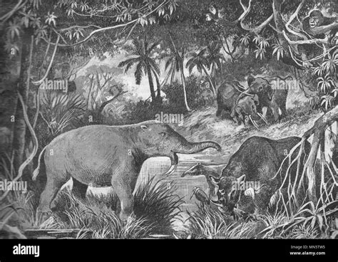 Prehistoric Animals Vintage Engraved Illustration Published In