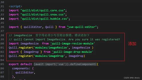 在vue项目中vue quill editor的安装与使用【详细图解 过程 包含图片的缩放拖拽】 阿里云开发者社区