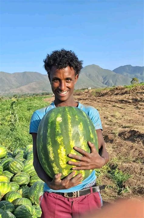 Avallon Tekalign Wgeyorgis Yimer