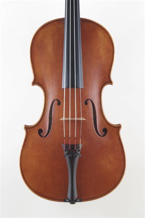 Viola Learn More About Violas By Alejandro Puig