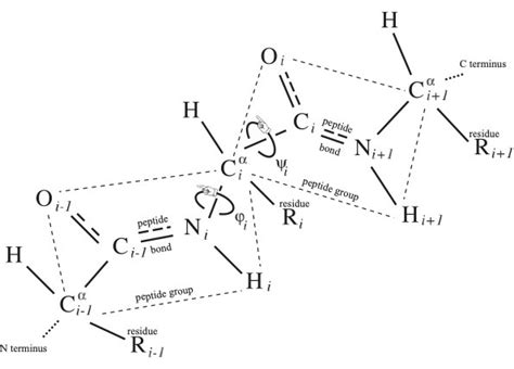Protein Geometry Function and Mutation CNRS Mathématiques
