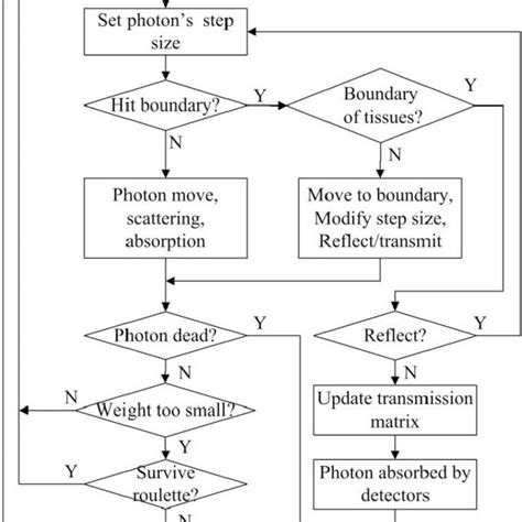 Flow Chart Of Mc Simulation Of Light Propagation In Tissues Here
