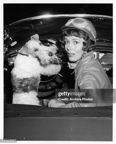 Phyllis Kirk Sitting In Passenger Seat As Asta The Pup Drives In A
