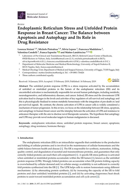 Pdf Endoplasmic Reticulum Stress And Unfolded Protein Response In