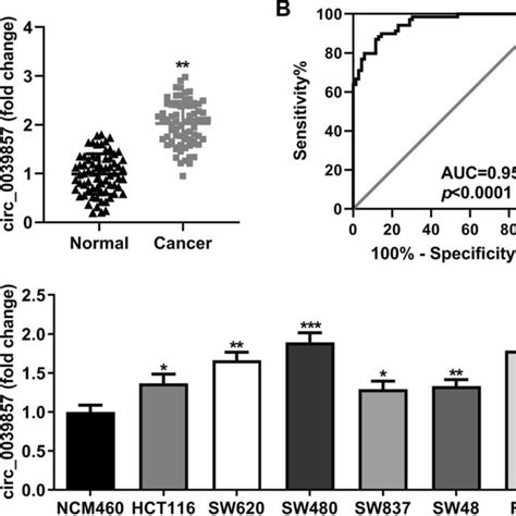 Knockdown Of Circ0039857 Inhibits The Proliferation Of Crc Cells A