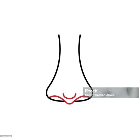 Rhinology 2 彩色線條圖示簡單的彩色元素插圖從醫學集的鼻學圖示設計向量圖形及更多10號圖片 10號 人 健保和醫療 Istock