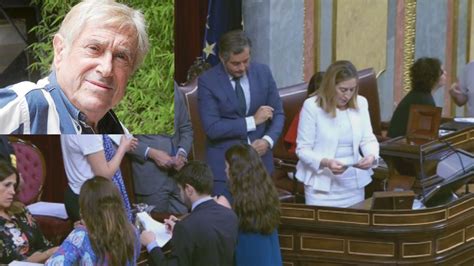 El Difunto Lauren Postigo Obtiene Un Voto Para Formar Parte Del Consejo