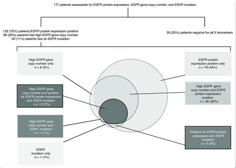 Overlap In Biomarker Status Epidermal Growth Factor Receptor Egfr