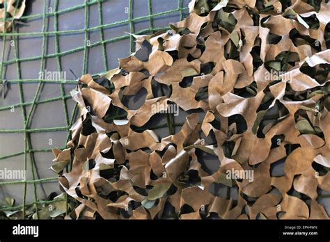 Army Camo Netting Hi Res Stock Photography And Images Alamy